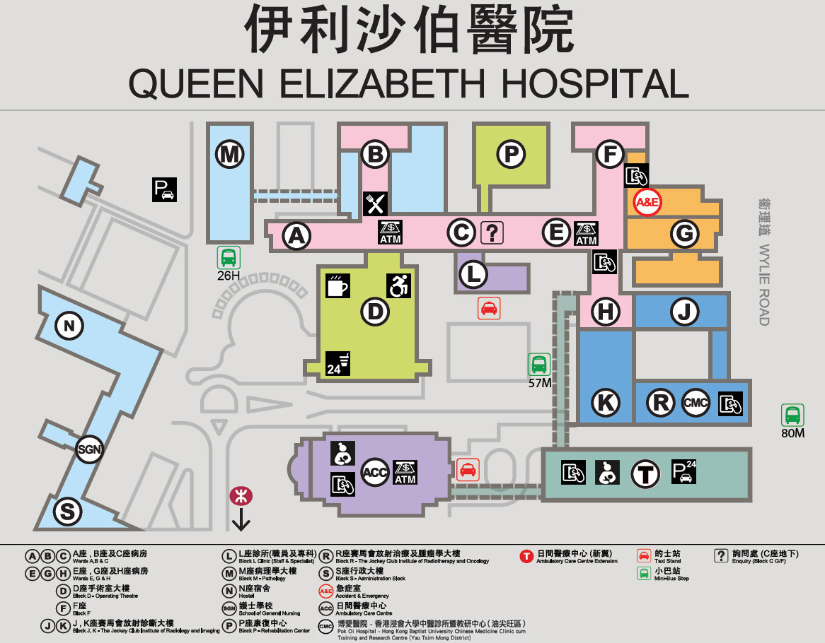 Visitors QUEEN ELIZABETH HOSPITAL